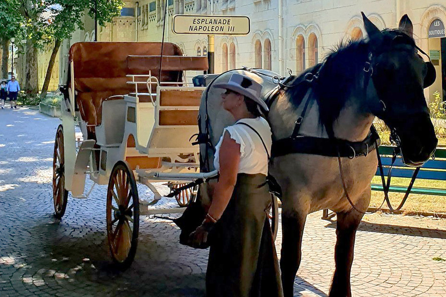 Visite de Vichy en calèche